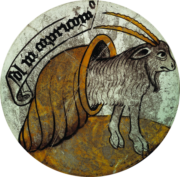 Learn About Capricorn in Astrology